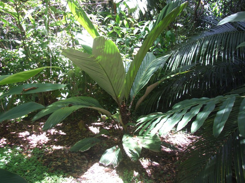 Townsville - TRAVEL LOGS - PalmTalk