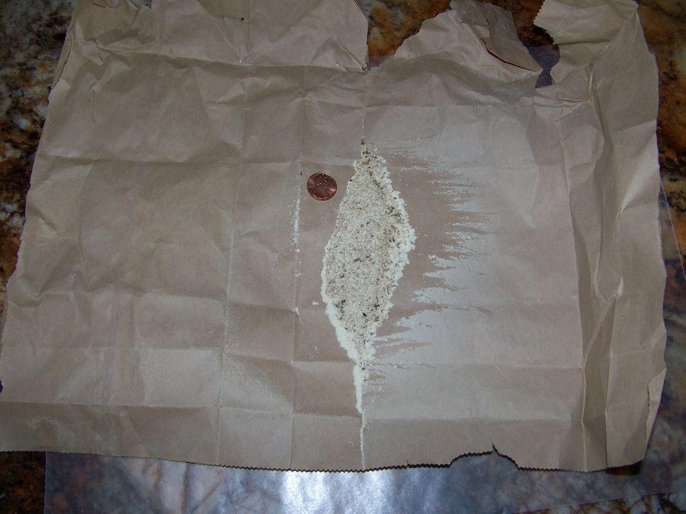 pollen - Phoenix Acaulis - DISCUSSING PALM TREES WORLDWIDE - PalmTalk