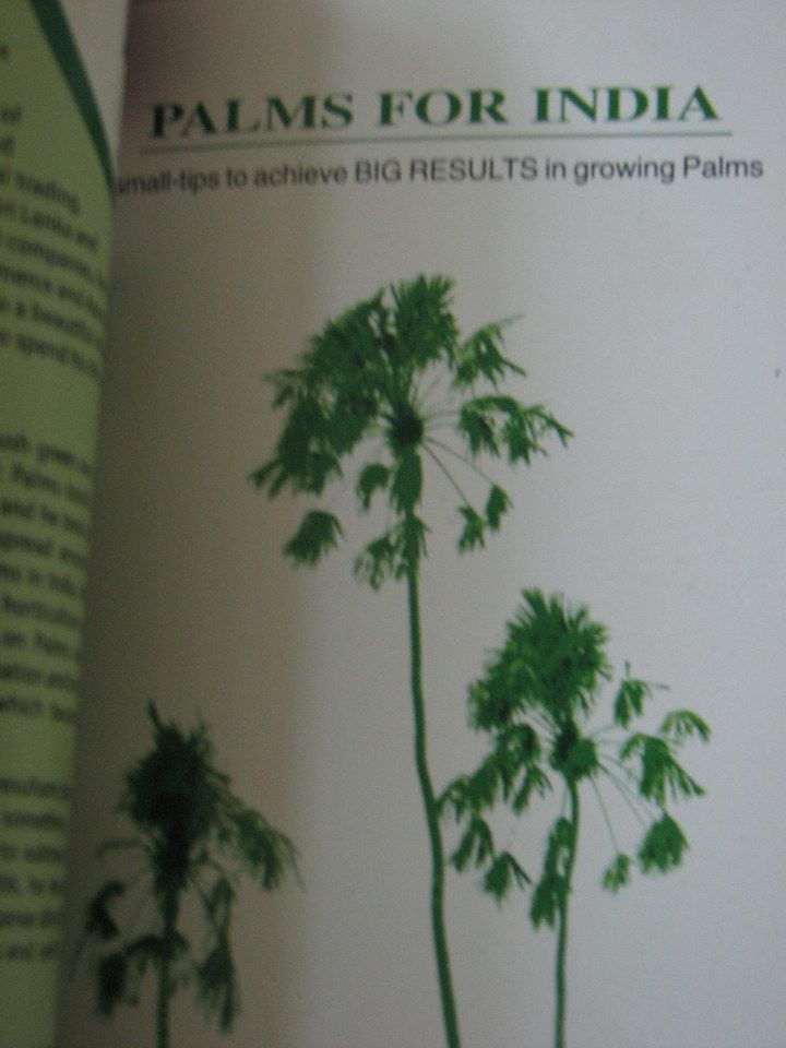 What Palm books have you bought ? - DISCUSSING PALM TREES WORLDWIDE ...