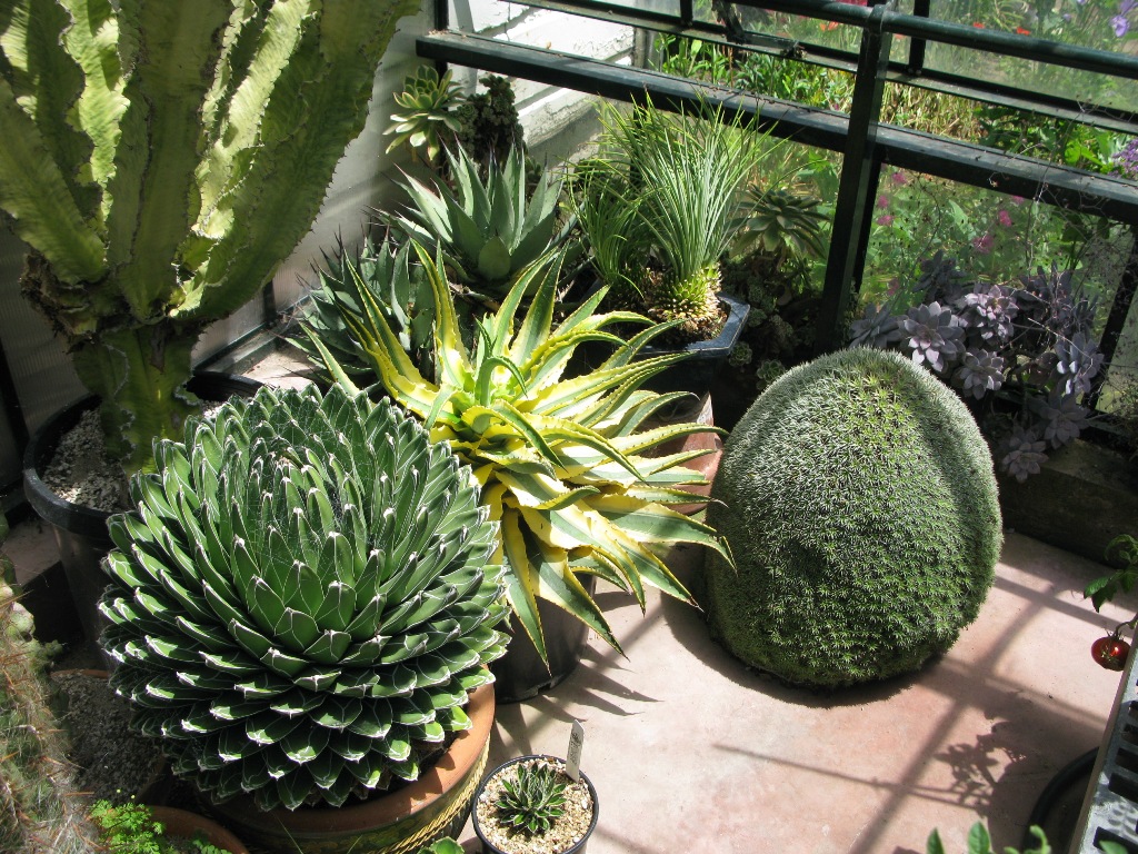 Richard Josephson Garden - TRAVEL LOGS - PalmTalk