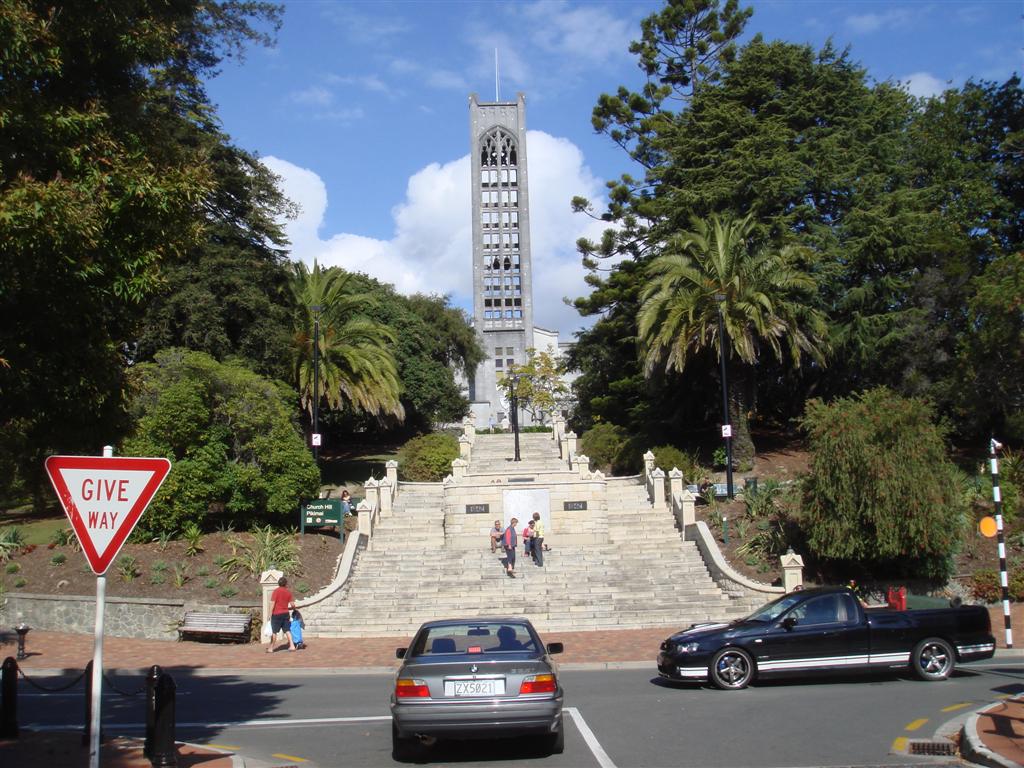 Palms in Nelson south Island New Zealand - TRAVEL LOGS - PalmTalk