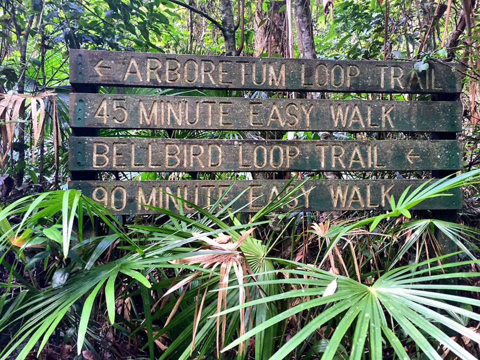 Strickland Forest Reserve, Gosford, New South Wales, Australia - TRAVEL ...