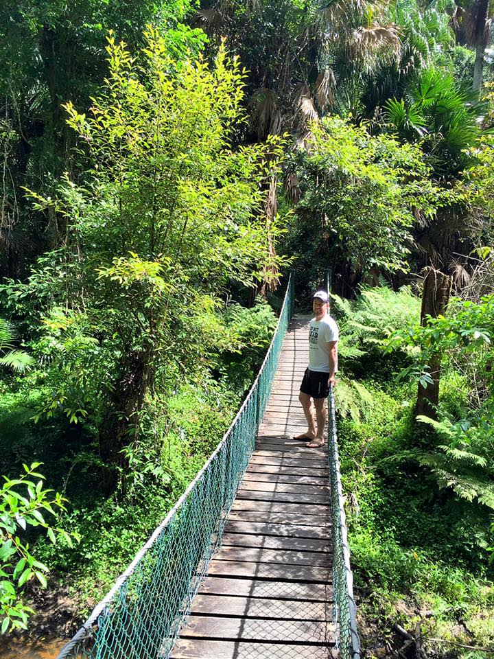 Strickland Forest Reserve, Gosford, New South Wales, Australia - TRAVEL ...