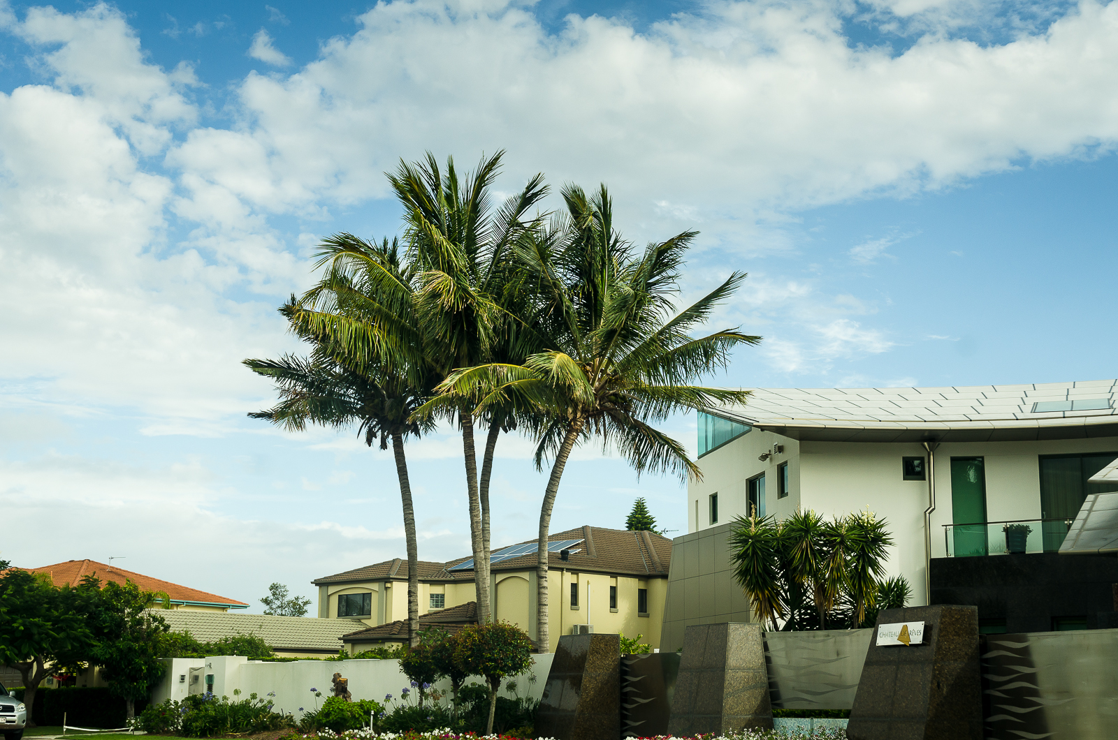 Architecture and Palms - DISCUSSING PALM TREES WORLDWIDE - PalmTalk