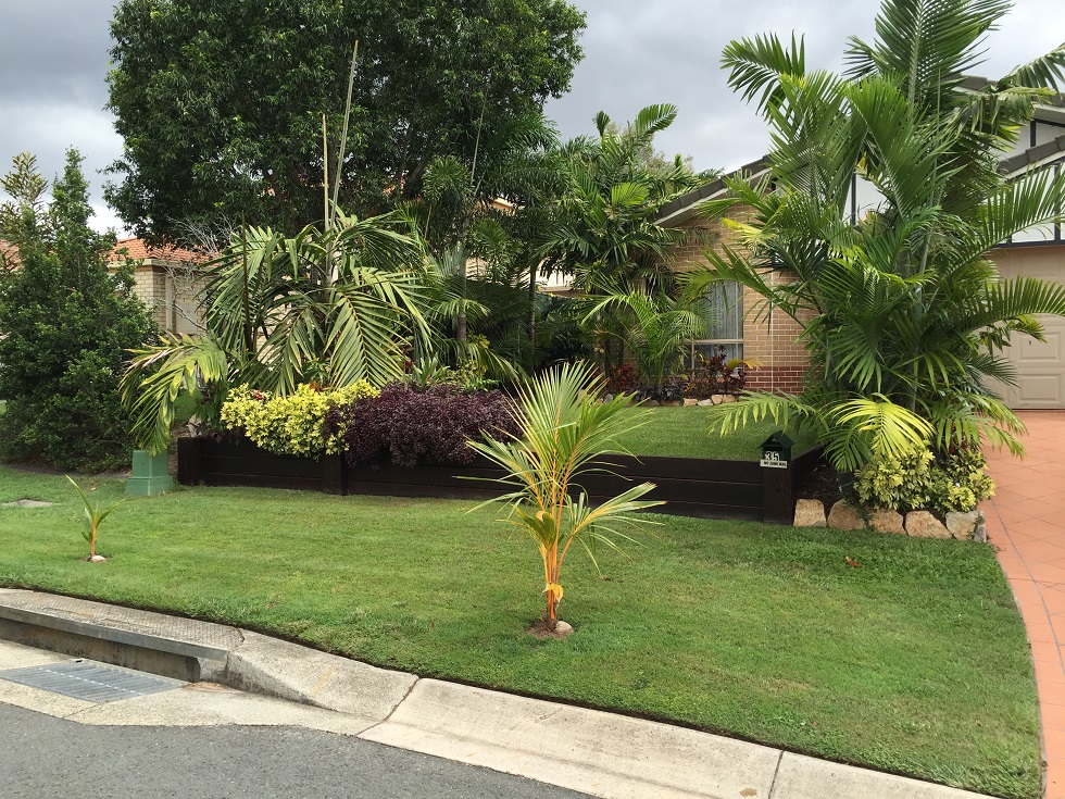 Garden update - DISCUSSING PALM TREES WORLDWIDE - PalmTalk