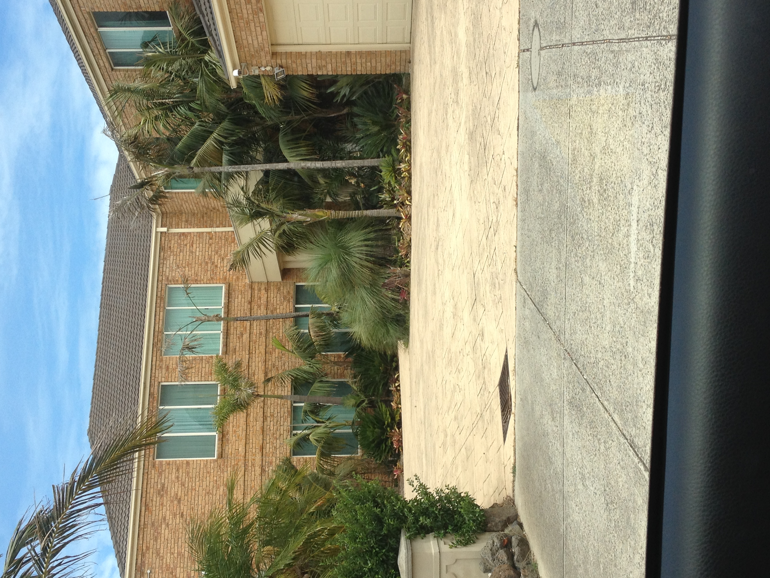 Frankston Palm Garden Victoria Australia - DISCUSSING PALM TREES ...