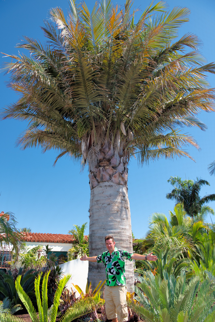 Cuesta Linda, the estate of Jeffry and Christine Brusseau (PSSC Tour ...