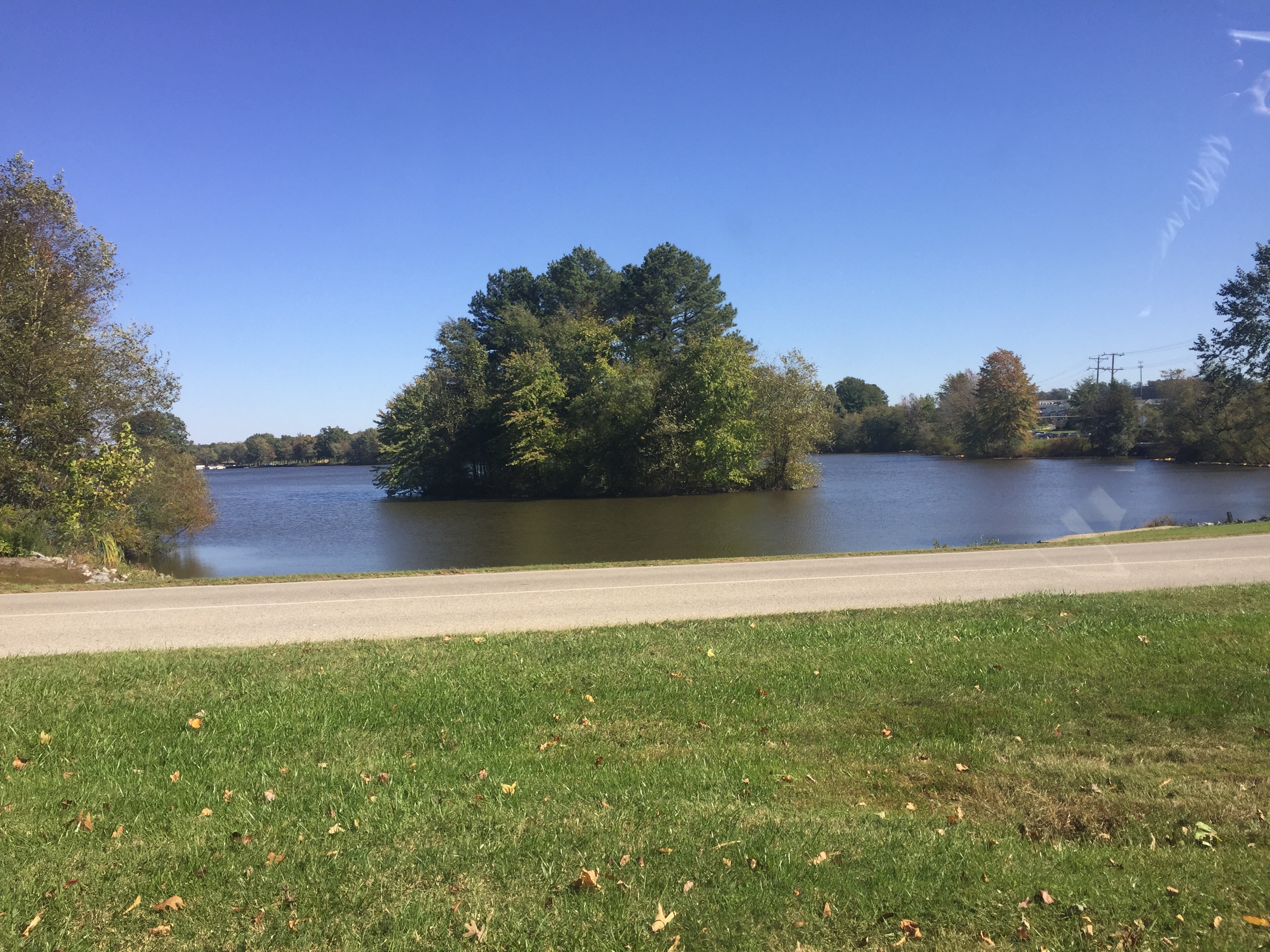 What Type of "Microclimate" Would This Little Lake Island Have ...
