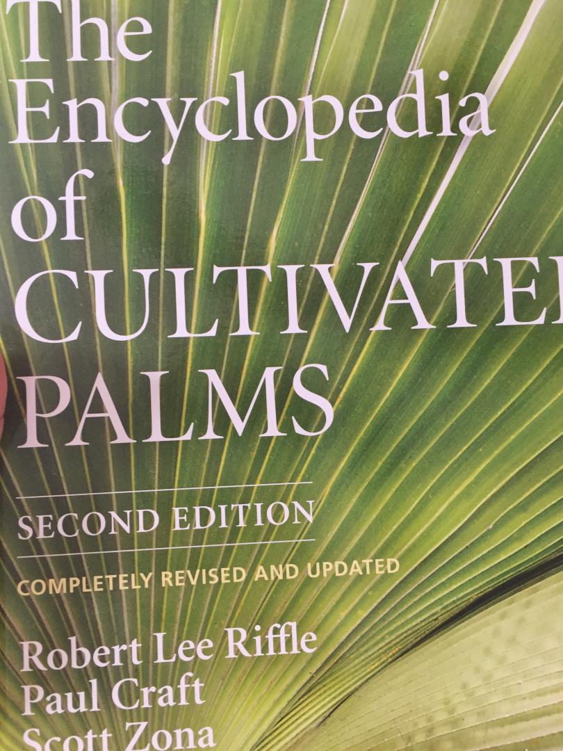 A Palm Book for Christmas! - DISCUSSING PALM TREES WORLDWIDE - PalmTalk
