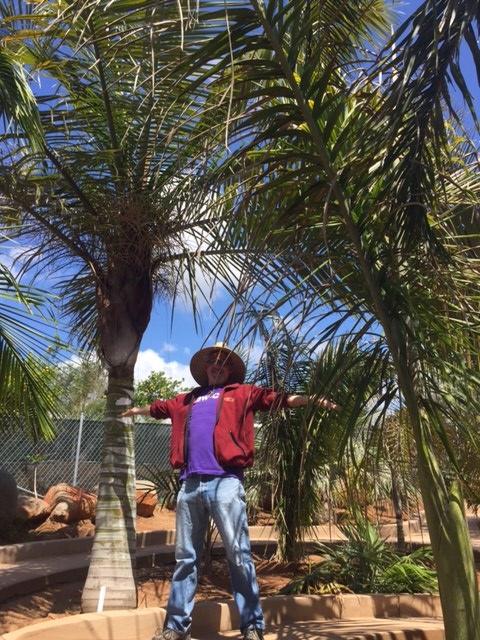 Tri-Bears: let's see 'em... - DISCUSSING PALM TREES WORLDWIDE - PalmTalk