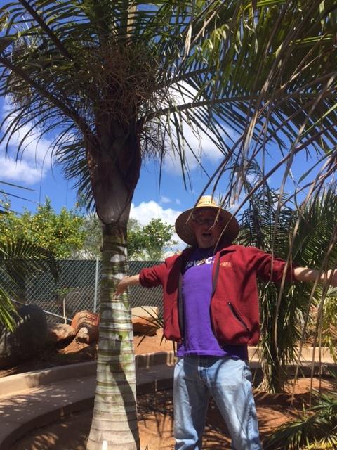 Tri-Bears: let's see 'em... - DISCUSSING PALM TREES WORLDWIDE - PalmTalk