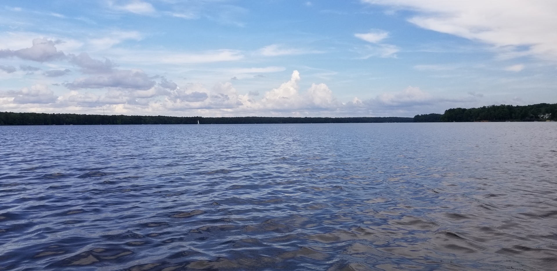 What Type of "Microclimate" Would This Little Lake Island Have ...