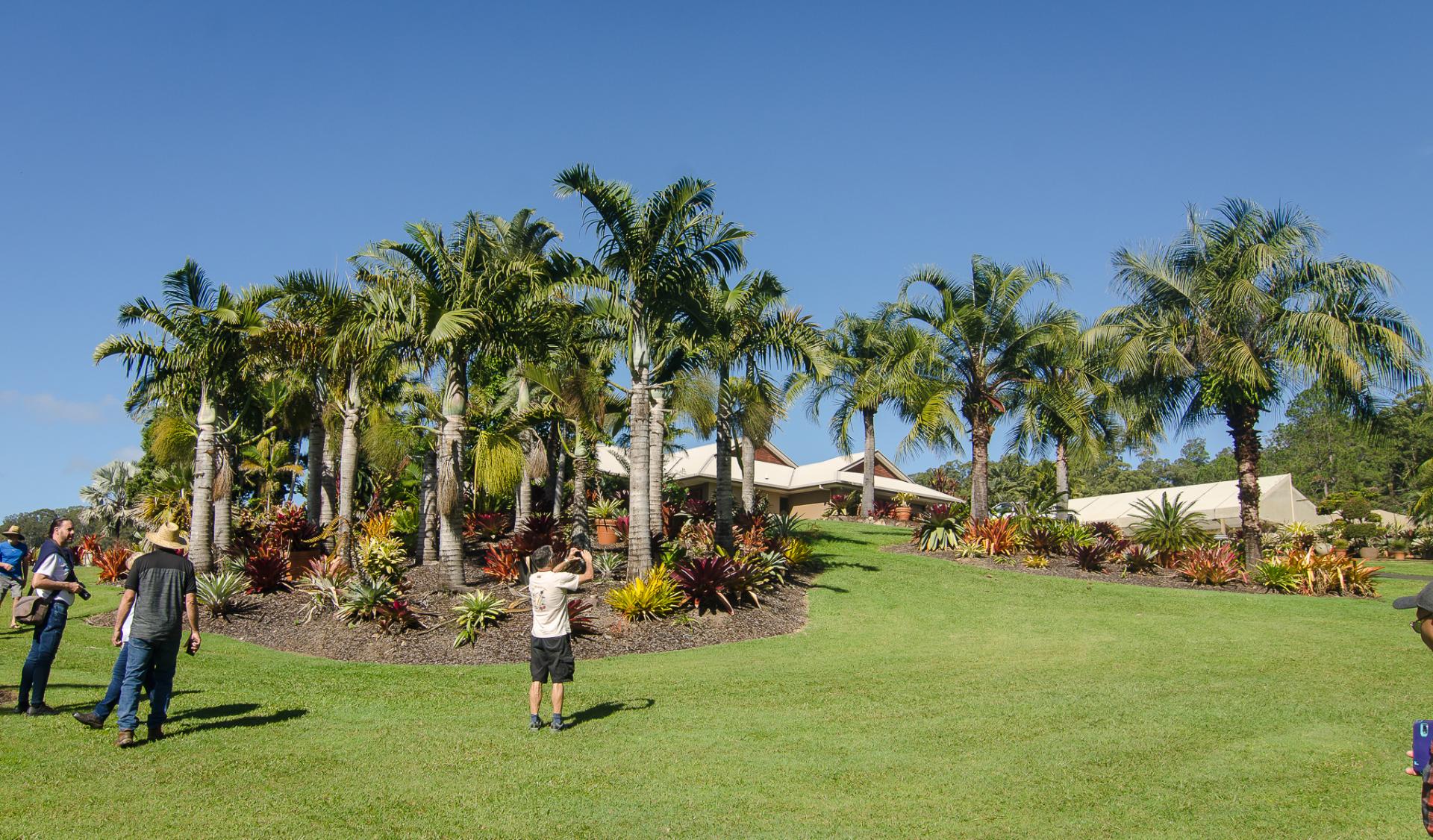 A look at Stan's Garden - DISCUSSING PALM TREES WORLDWIDE - PalmTalk