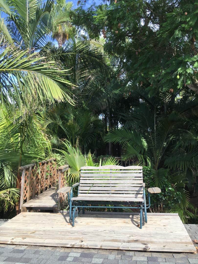 Fallbrook garden (and home) on the market - DISCUSSING PALM TREES ...
