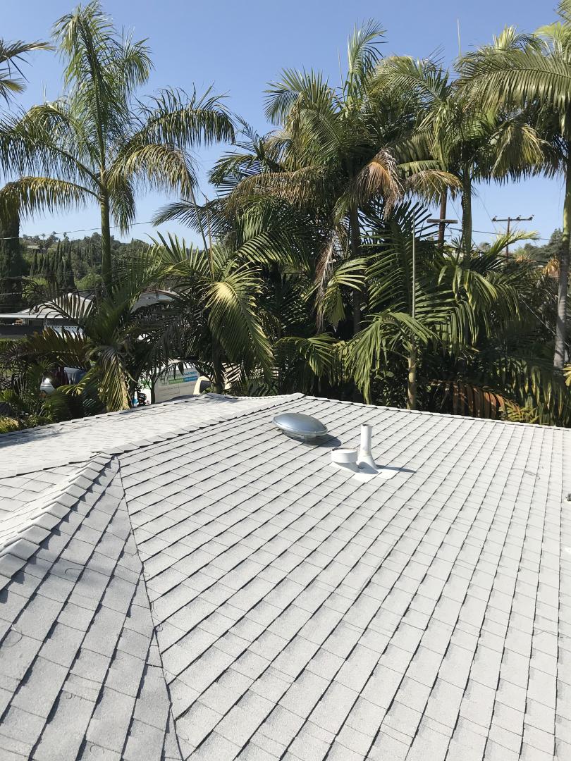 View from my roof - DISCUSSING PALM TREES WORLDWIDE - PalmTalk