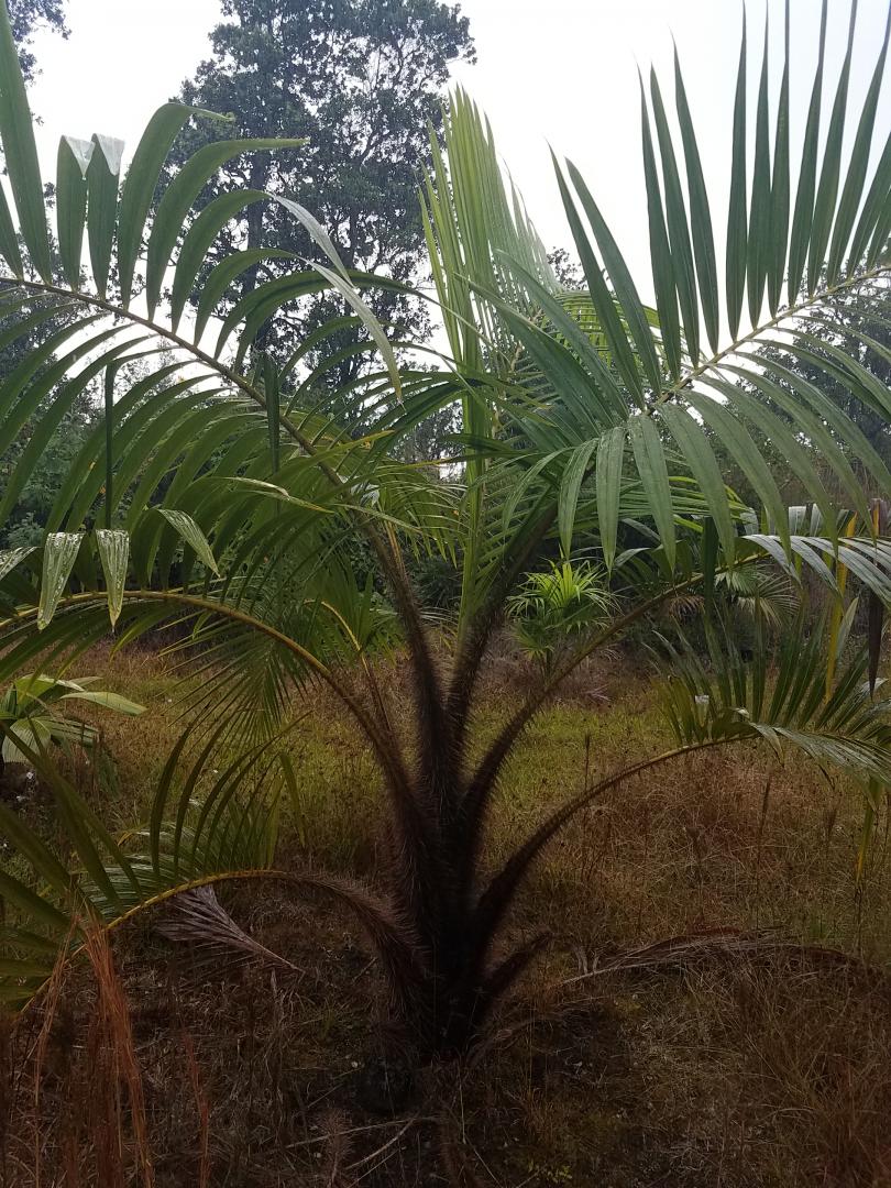 Instant Gratification- What are the Fastest, Most Quickly Rewarding ...