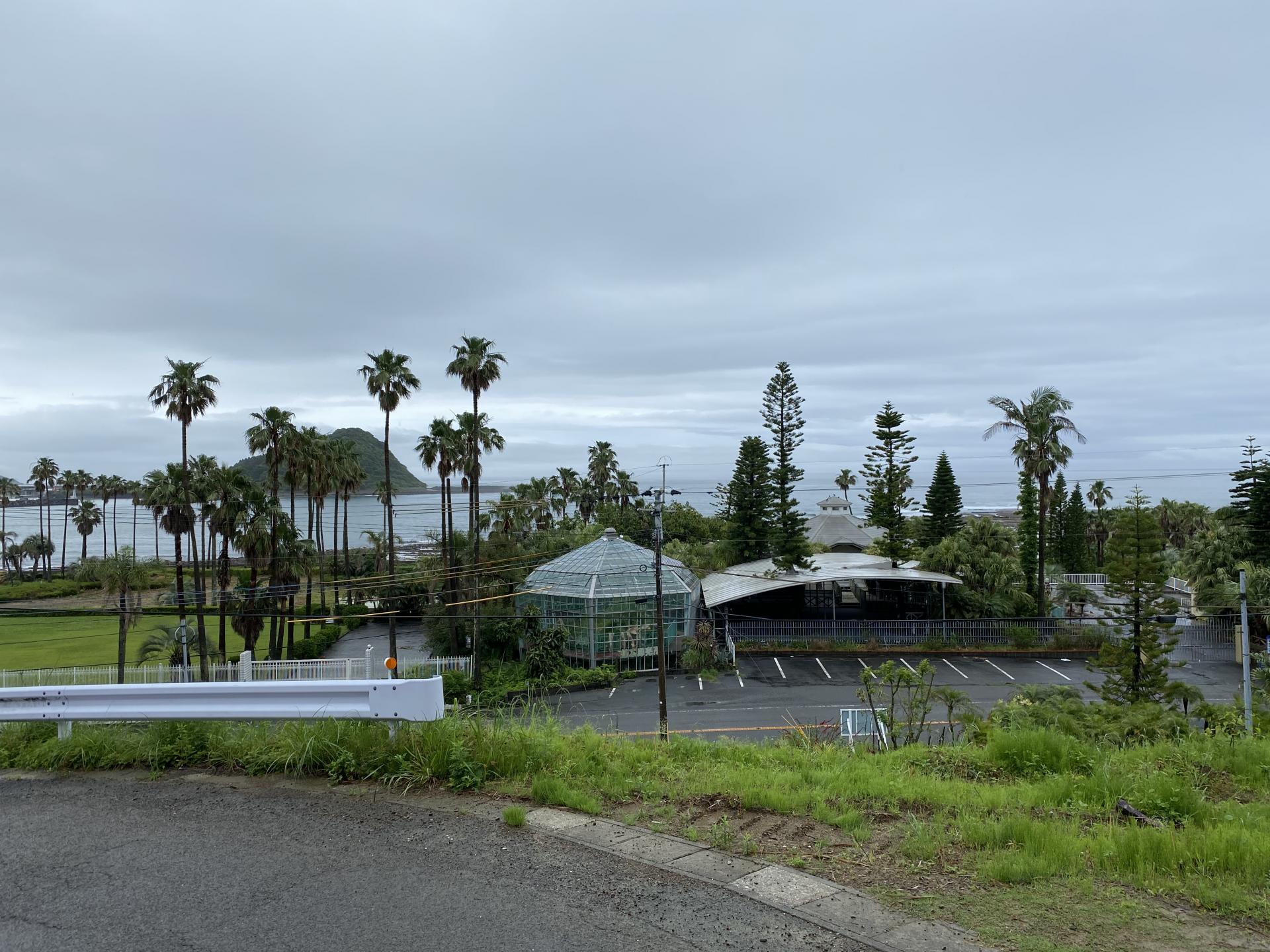 Day trip to palmy Miyazaki - DISCUSSING PALM TREES WORLDWIDE - PalmTalk