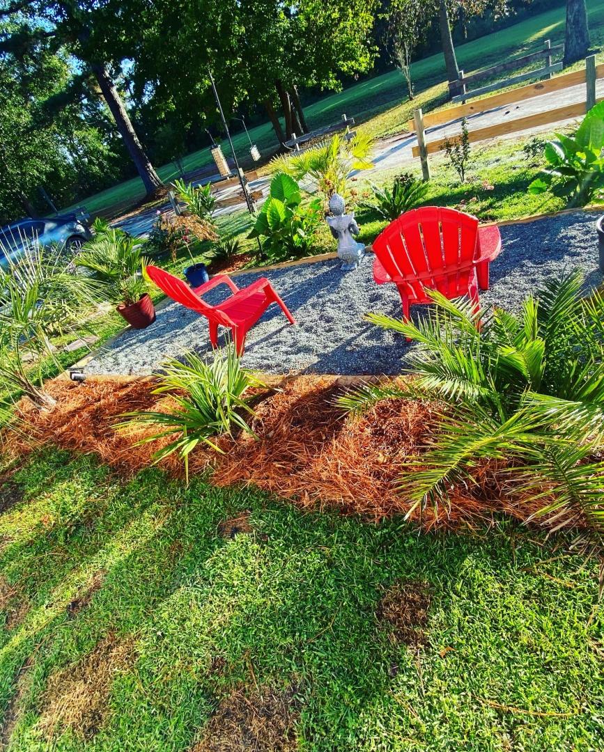 Hi I’m new here - DISCUSSING PALM TREES WORLDWIDE - PalmTalk