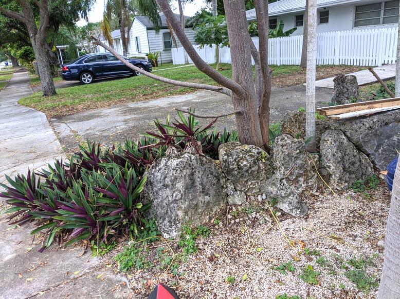 Where to find coral rocks and coral blocks in south Florida ...