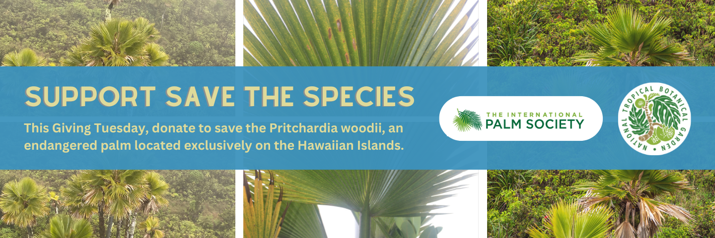 Save the Species-Donate Today! - DISCUSSING PALM TREES WORLDWIDE - PalmTalk