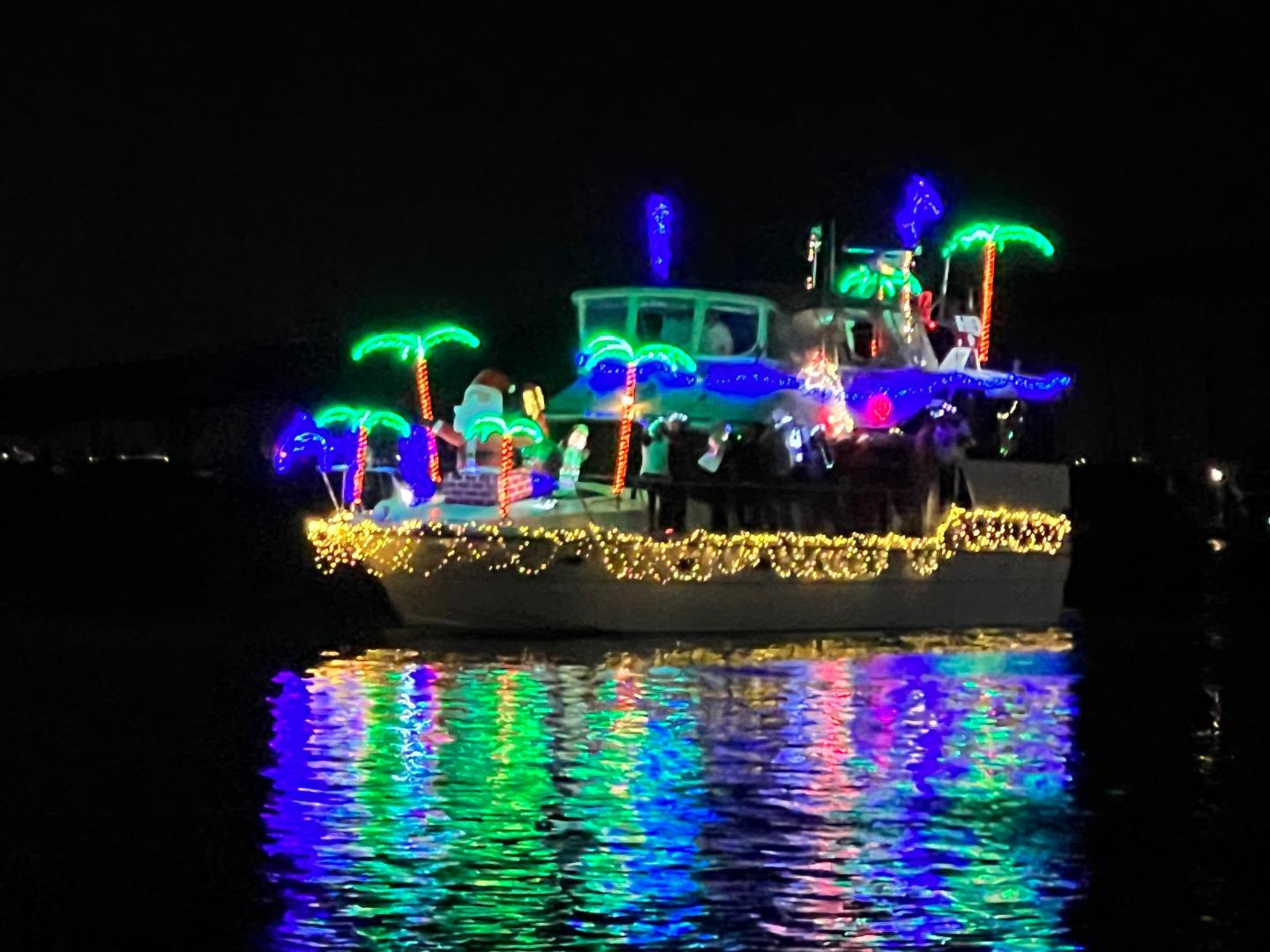 Even seen palm trees on a boat? - DISCUSSING PALM TREES WORLDWIDE ...