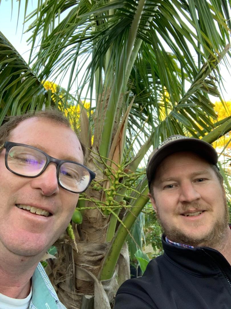 Well, I Will Give It At Least One More Try - DISCUSSING PALM TREES ...