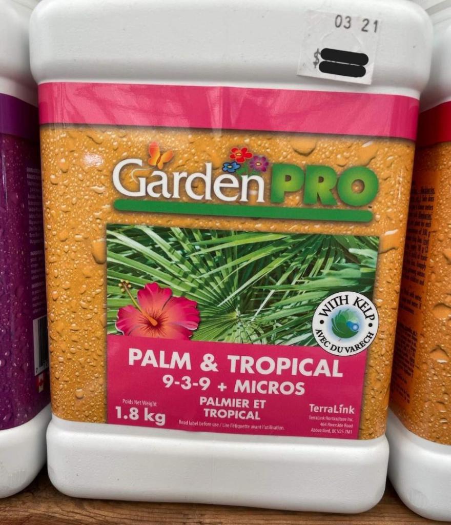 Palmgain in Seattle area ? - COLD HARDY PALMS - PalmTalk