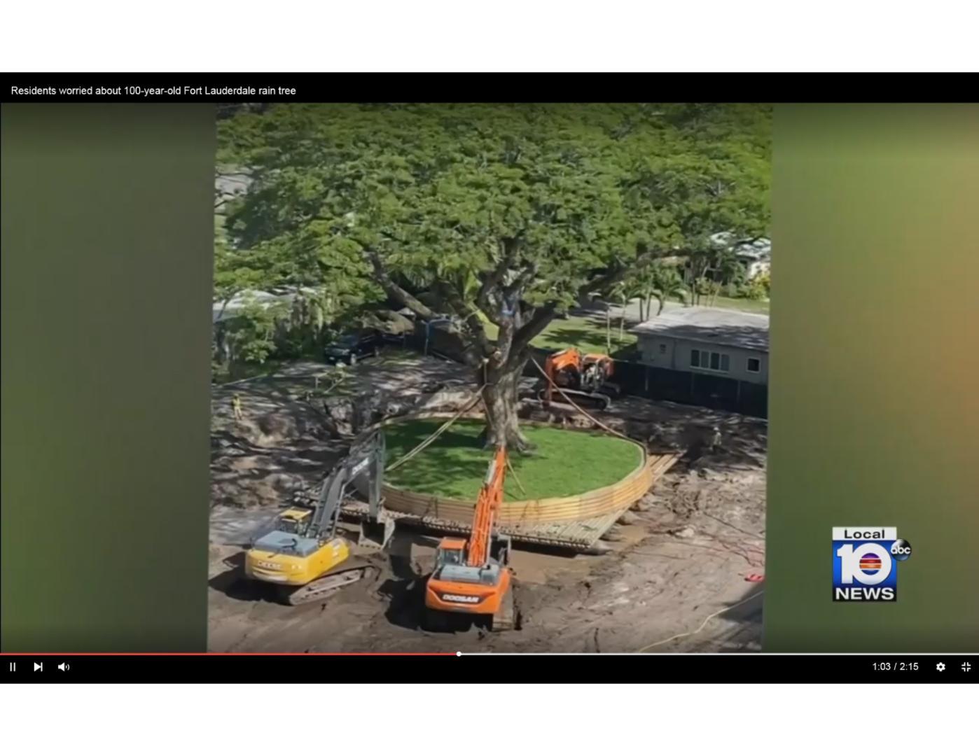 Tree mover - TROPICAL LOOKING PLANTS - Other Than Palms - PalmTalk