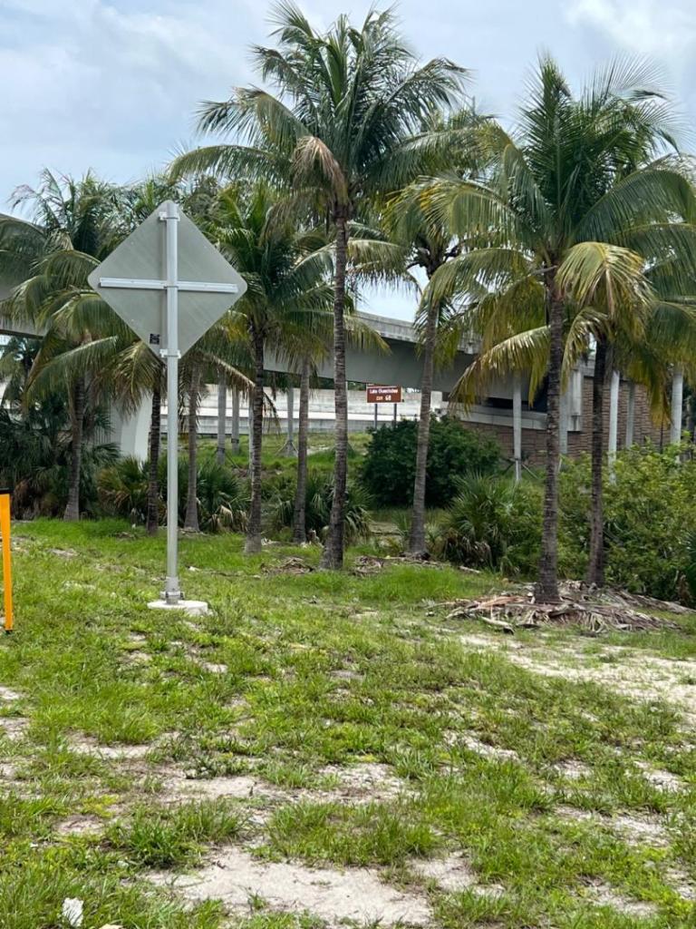 FDOT Memorial Day Palms - DISCUSSING PALM TREES WORLDWIDE - PalmTalk