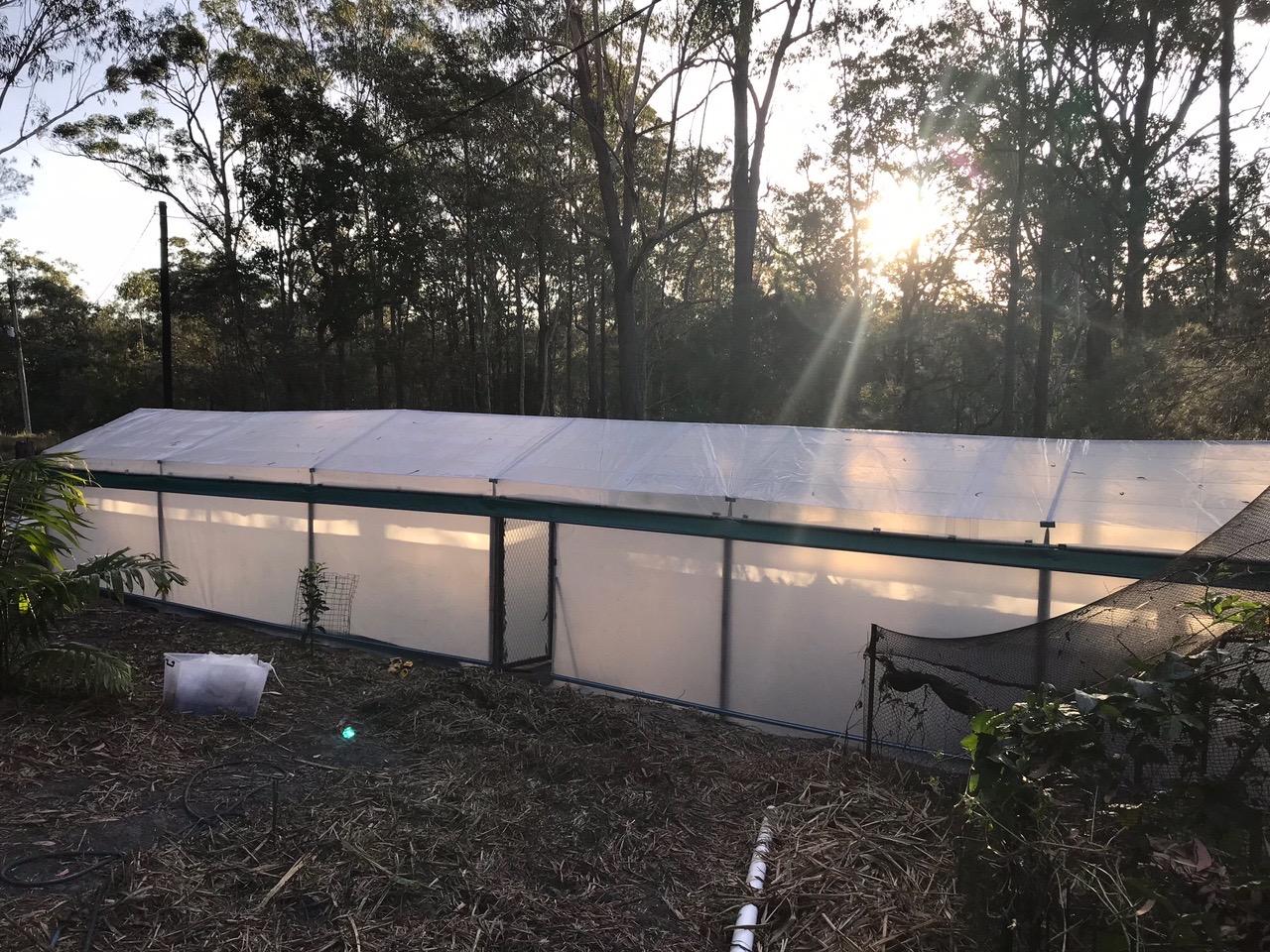 Building a hothouse on a budget - DISCUSSING PALM TREES WORLDWIDE ...