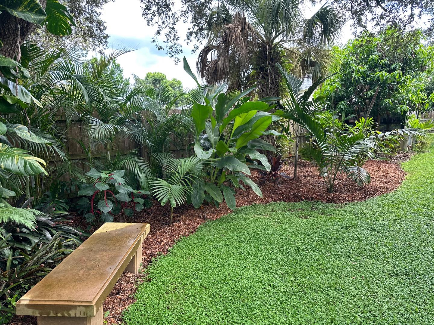 Chipdrop - DISCUSSING PALM TREES WORLDWIDE - PalmTalk