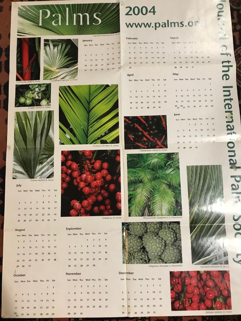 IPS calendar 2004 - DISCUSSING PALM TREES WORLDWIDE - PalmTalk