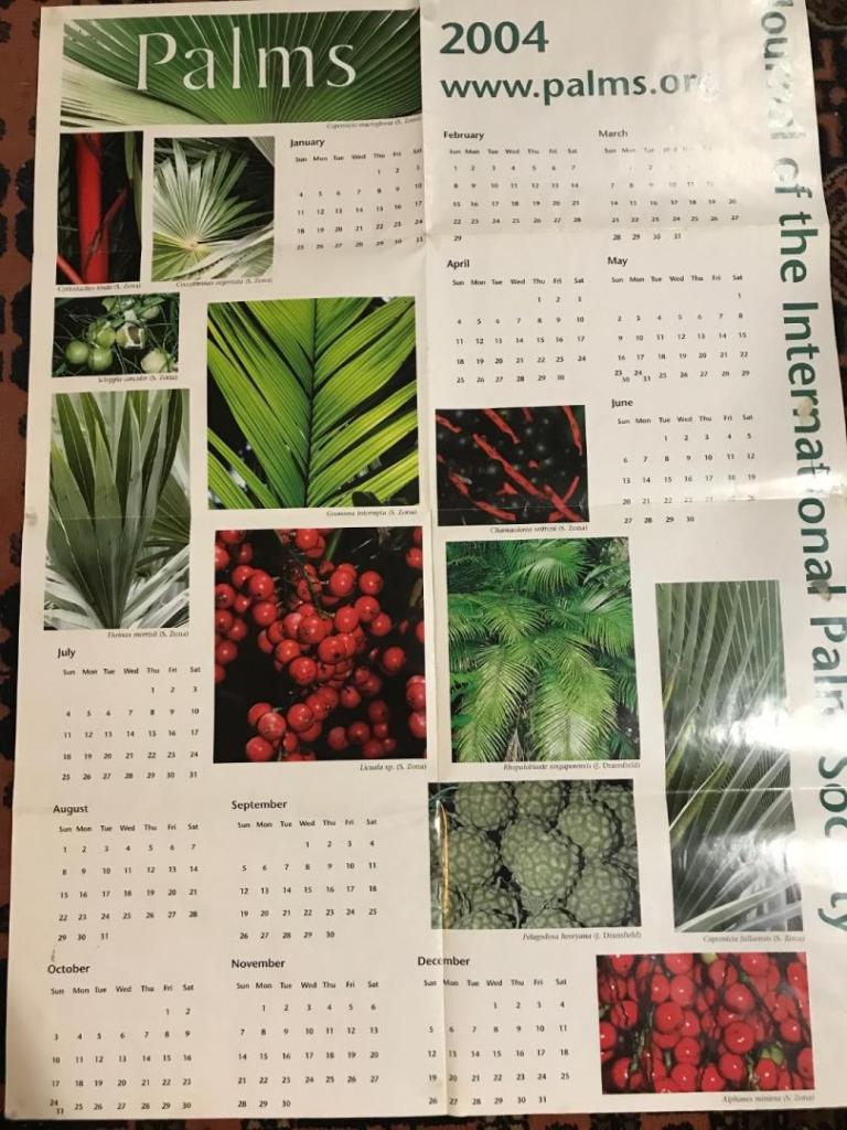 IPS calendar 2004 - DISCUSSING PALM TREES WORLDWIDE - PalmTalk