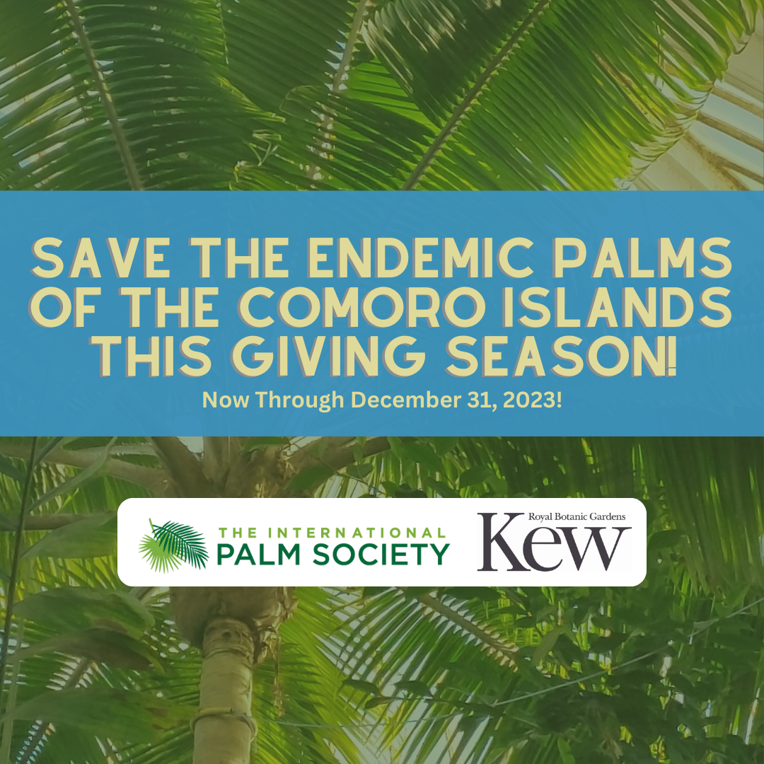Make a Difference! - DISCUSSING PALM TREES WORLDWIDE - PalmTalk