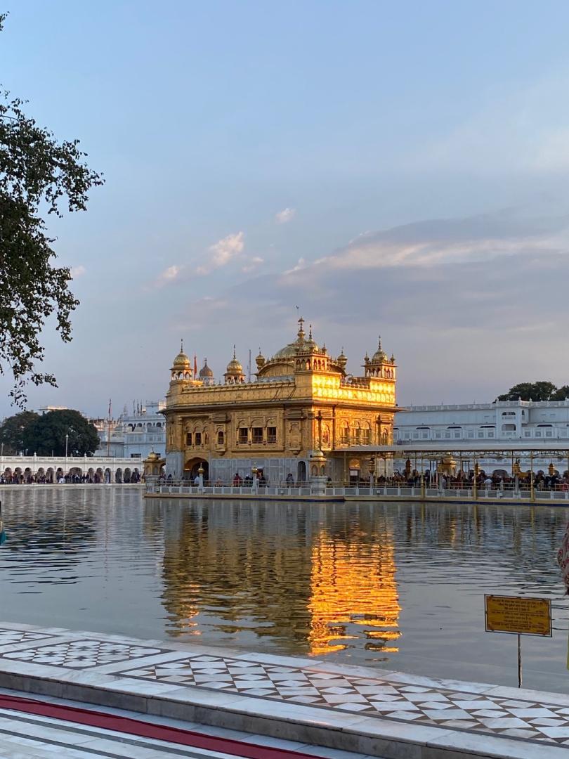 Golden temple container palms Amritsar - TRAVEL LOGS - PalmTalk