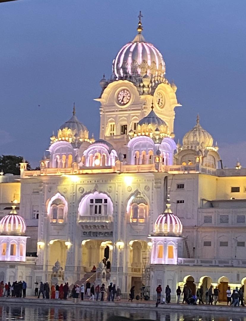 Golden temple container palms Amritsar - TRAVEL LOGS - PalmTalk