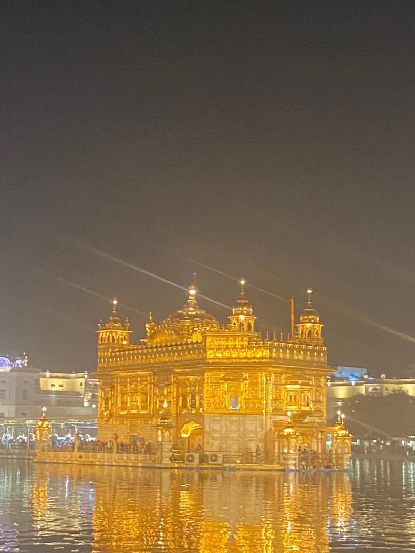 Golden temple container palms Amritsar - TRAVEL LOGS - PalmTalk