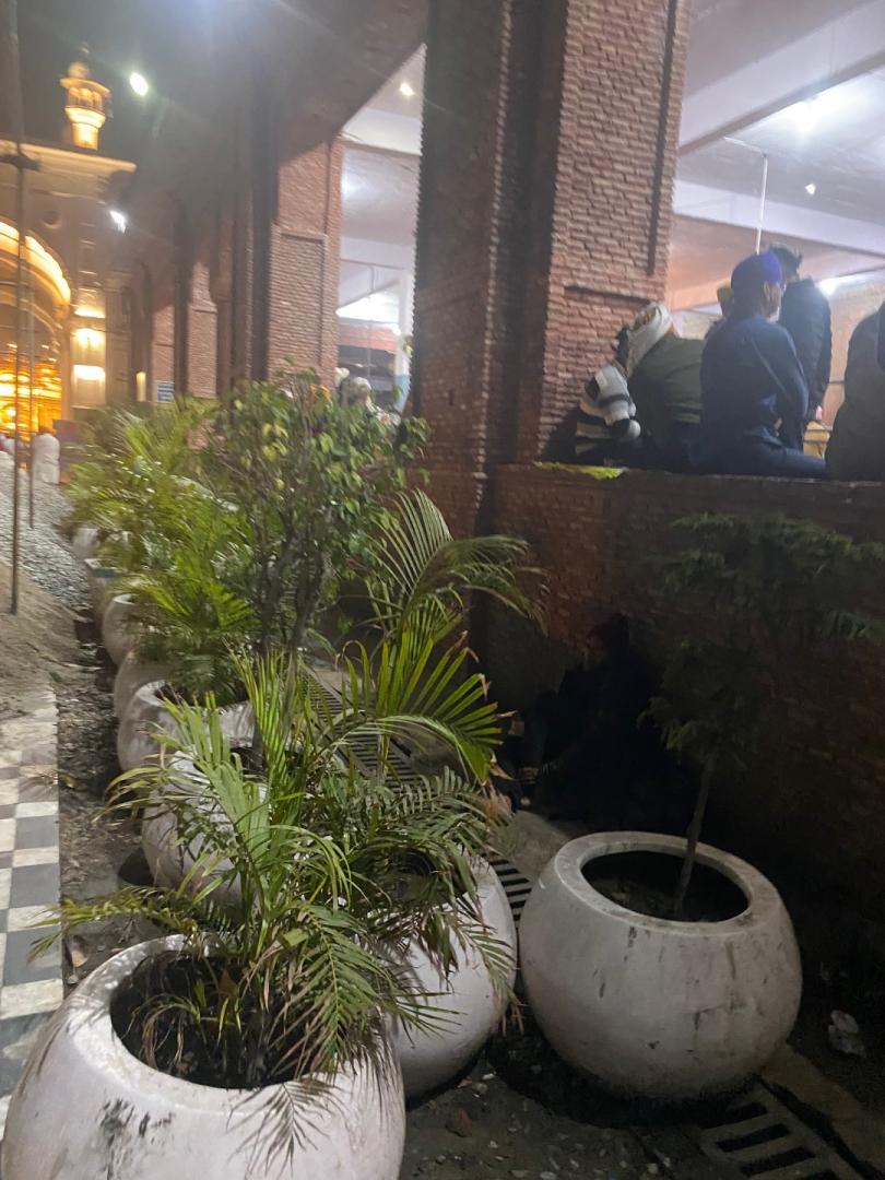 Golden temple container palms Amritsar - TRAVEL LOGS - PalmTalk