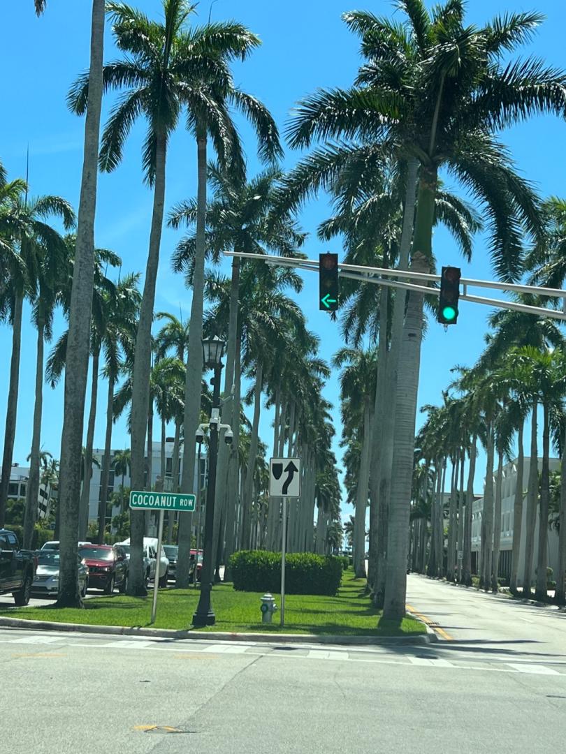 Strange sign on this street - DISCUSSING PALM TREES WORLDWIDE - PalmTalk