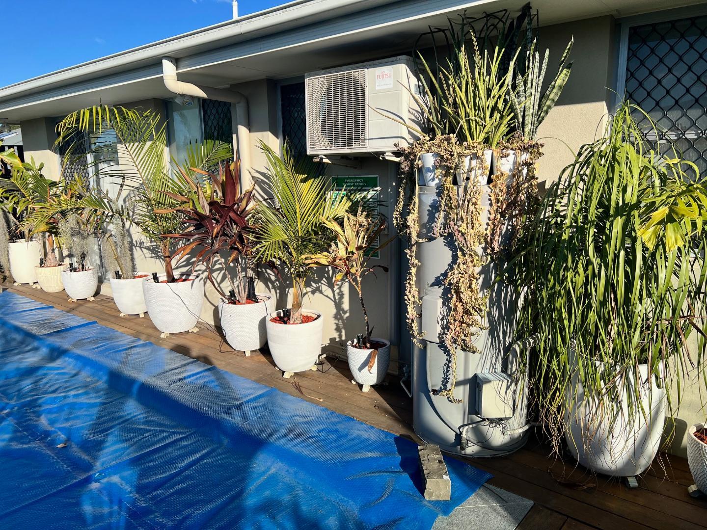Need advice on what palms to sun harden in preparation to put into ...