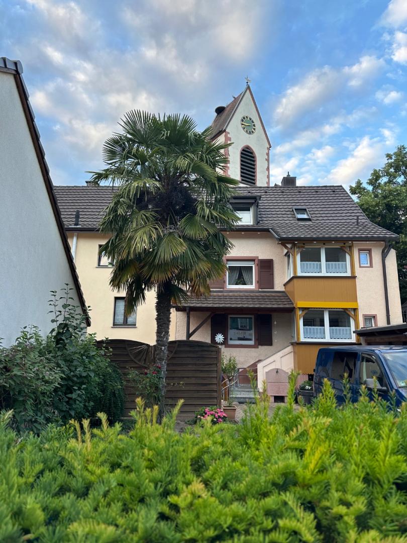 Art Basel 2024 - DISCUSSING PALM TREES WORLDWIDE - PalmTalk