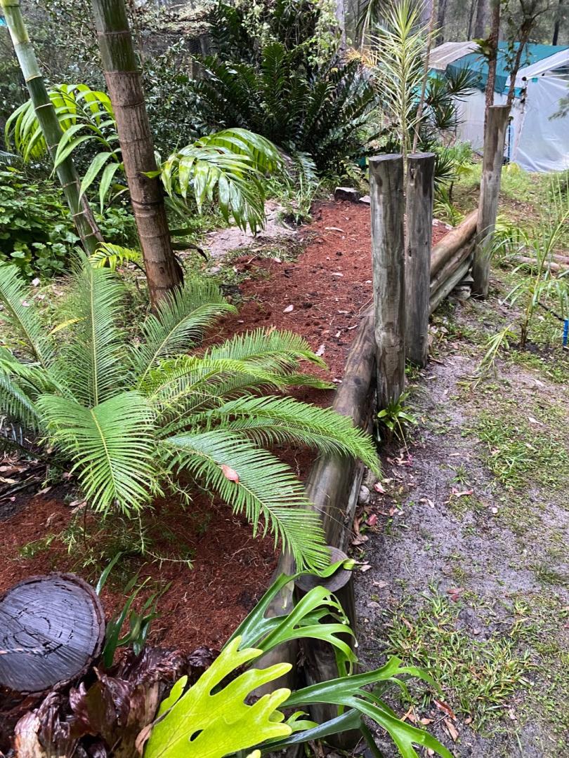 Mounded Palm Beds -- Soil Admendments - DISCUSSING PALM TREES WORLDWIDE ...