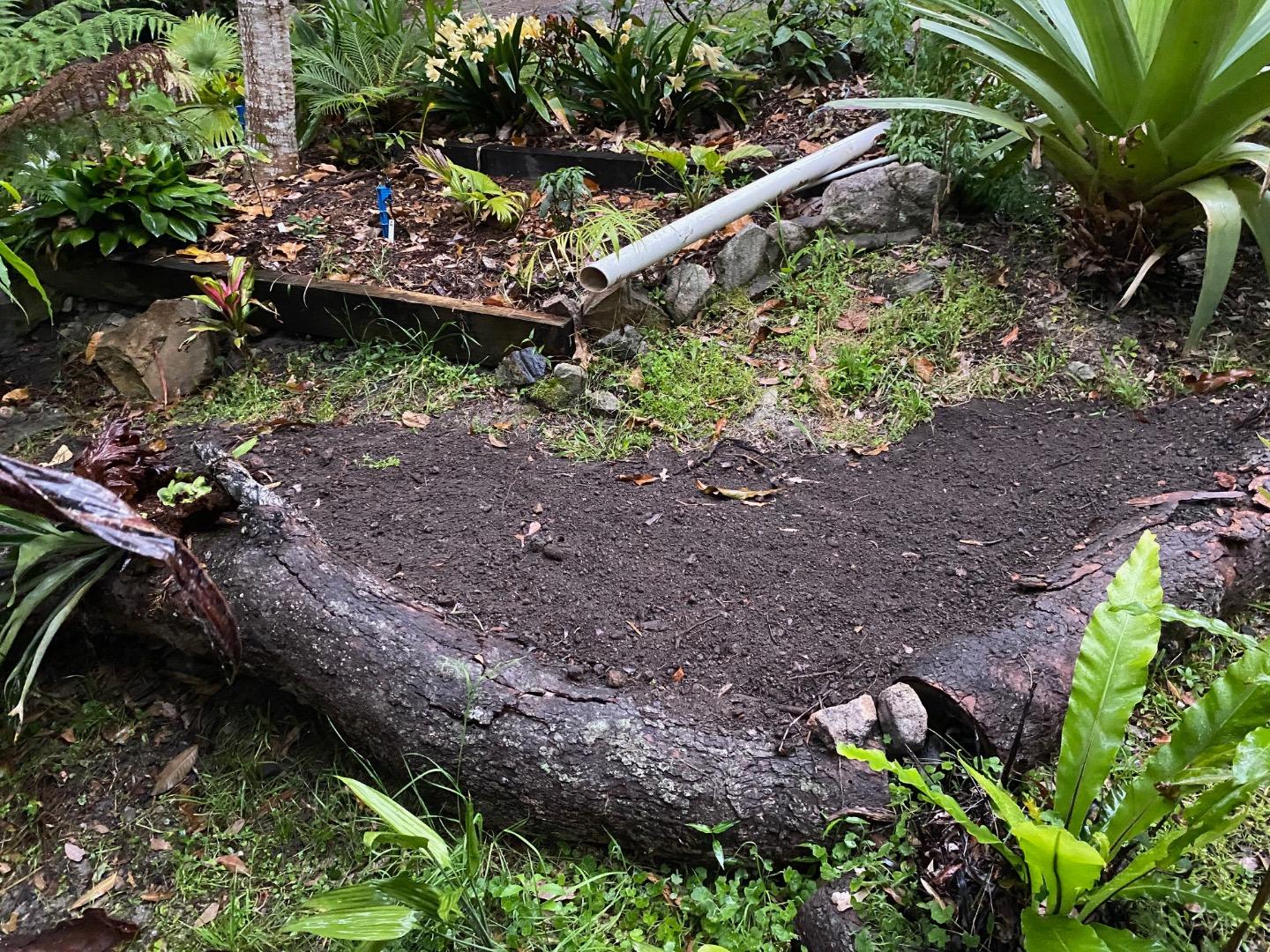 Mounded Palm Beds -- Soil Admendments - DISCUSSING PALM TREES WORLDWIDE ...