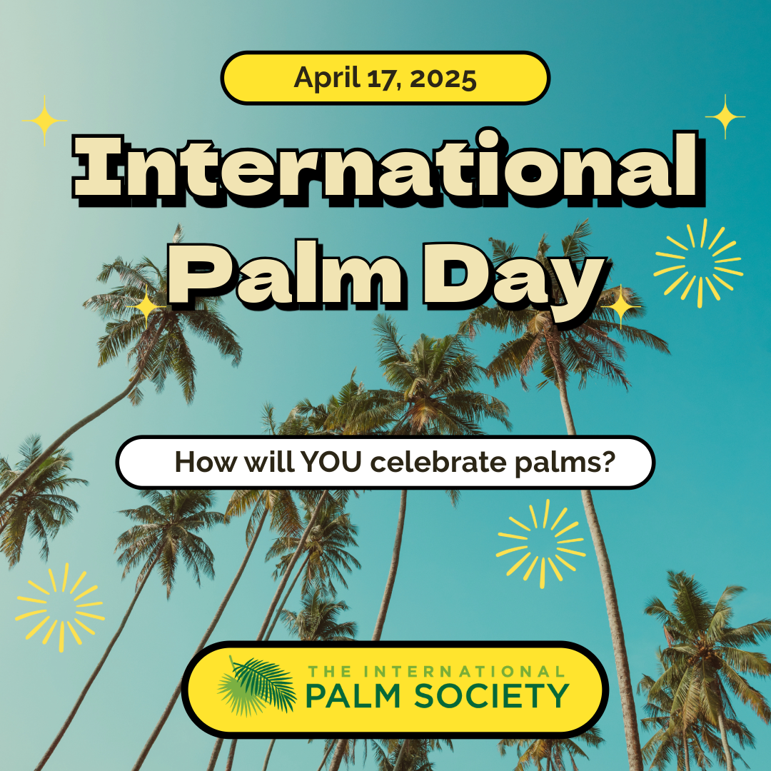 How Will You Celebrate Palm Day? - DISCUSSING PALM TREES WORLDWIDE ...