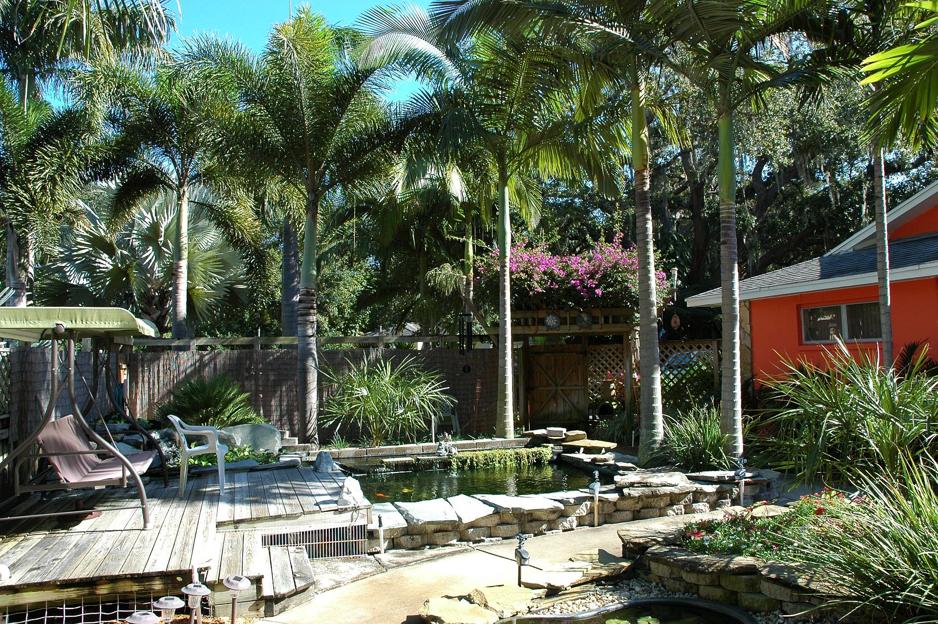 Show your views - DISCUSSING PALM TREES WORLDWIDE - PalmTalk