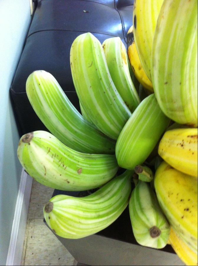 Ae Ae Fruit - TROPICAL LOOKING PLANTS - Other Than Palms - PalmTalk