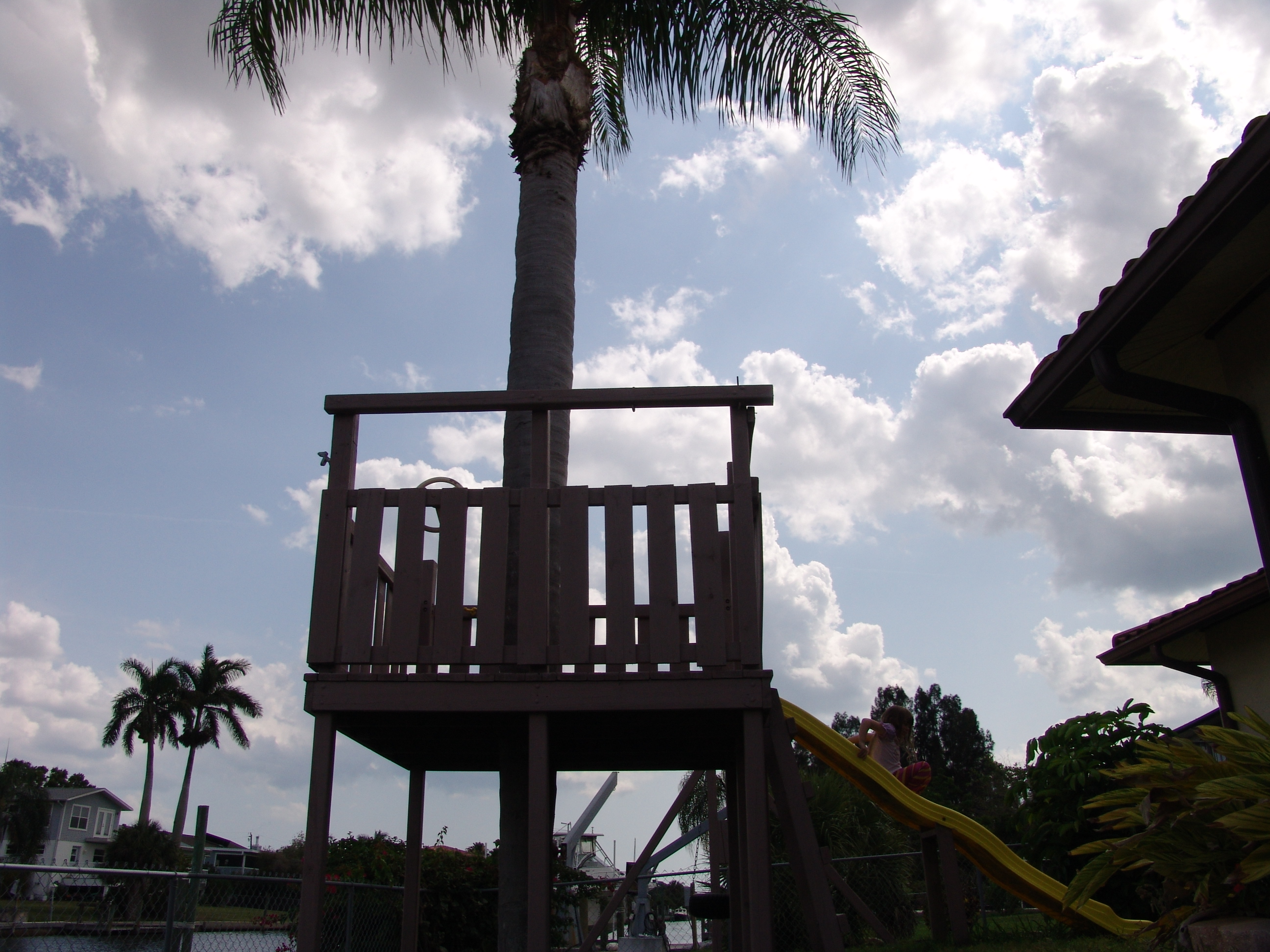 Palm tree fort. - DISCUSSING PALM TREES WORLDWIDE - PalmTalk