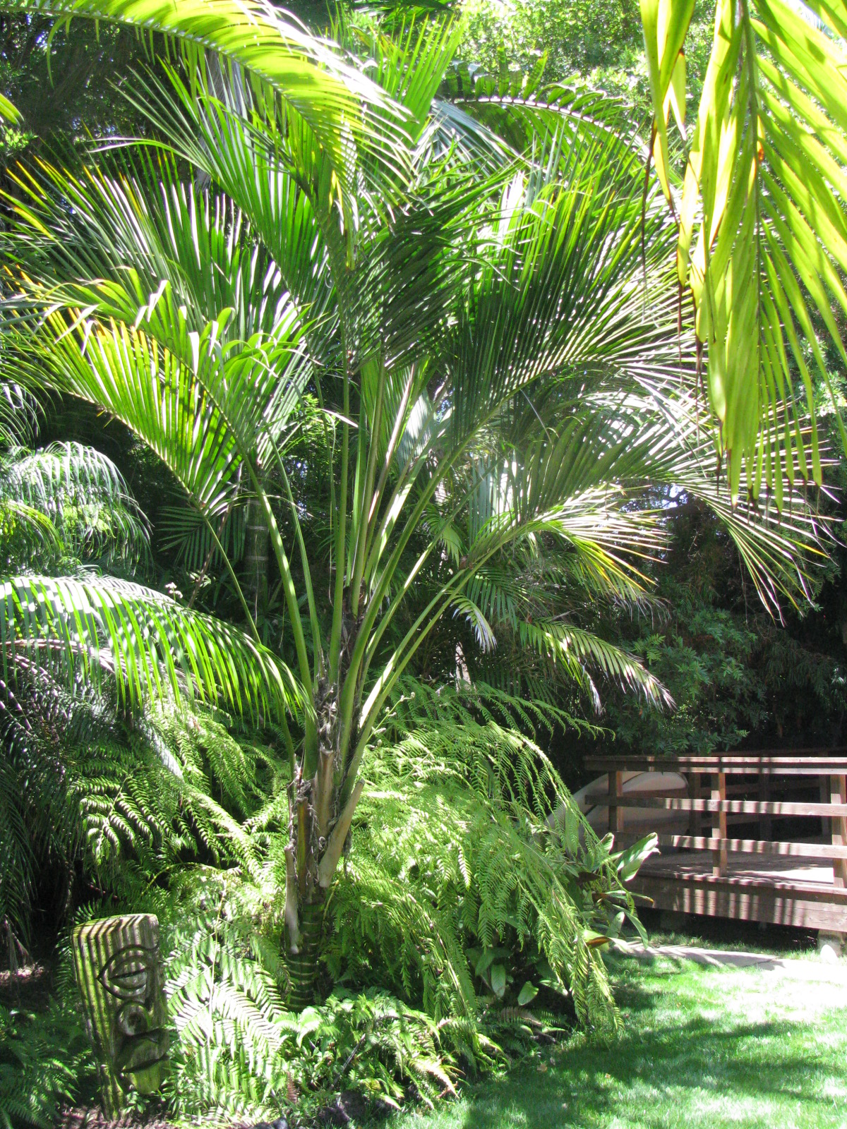 PSSC MEETING AT Gardens of Palm Mod and the Asbaghs - DISCUSSING PALM ...