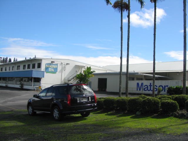 The forest of the Silly Trees, please - TROPICAL LOOKING PLANTS - Other ...