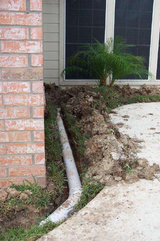 French Drains - DISCUSSING PALM TREES WORLDWIDE - PalmTalk